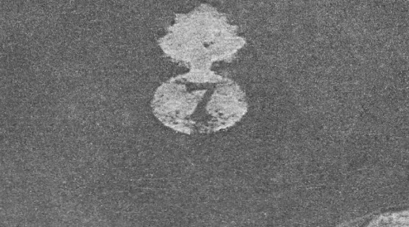 Centenary of the Shiny 7th Badge - The Sutton Badges